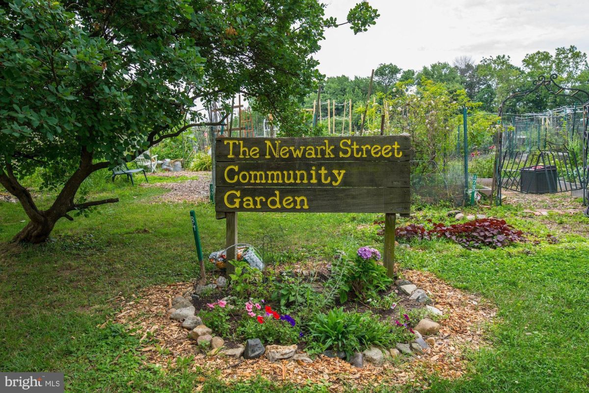 Fall 2020 Garden Meeting Minutes – Newark Street Community Garden ...